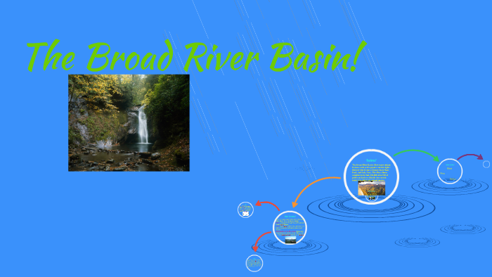 The Broad River Basin! by Lauren Cook