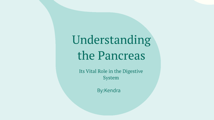 Understanding the Pancreas by Kendra Youngren on Prezi