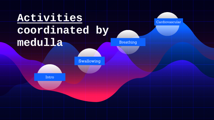 Activities coordinated by the medulla by Hannah Hendrix on Prezi