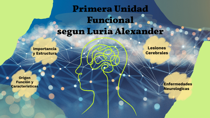 PRIMERA UNIDAD FUNCIONAL SEGÚN LURIA A. by Karina Cevallos on Prezi