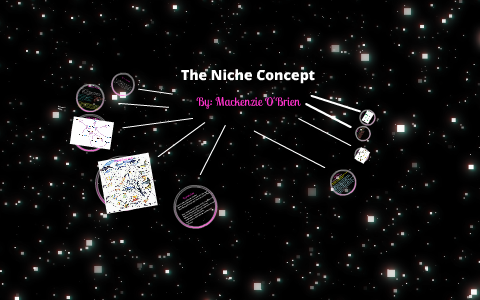 The Niche Concept by Mackenzie O'Brien on Prezi