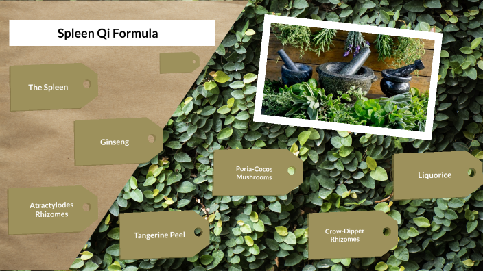 Spleen Formula by Liz Rowles on Prezi