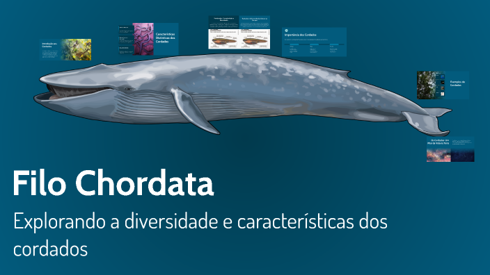 Filo Chordata by Vitor Mateus Silva Duarte on Prezi