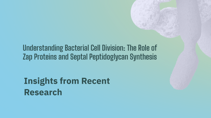 Understanding Bacterial Cell Division: The Role of Zap Proteins and ...
