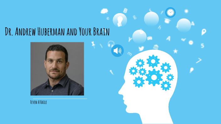 Dr. Andrew Huberman and your Brain by Feven Haile on Prezi