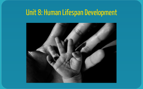 Unit 8: Human Lifespan Development by David Howard on Prezi