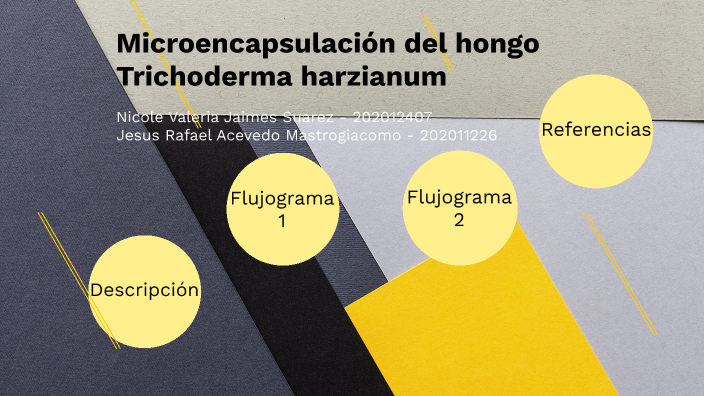 JaimesNicole_AcevedoJesus by Nicole Valeria Jaimes Suarez on Prezi