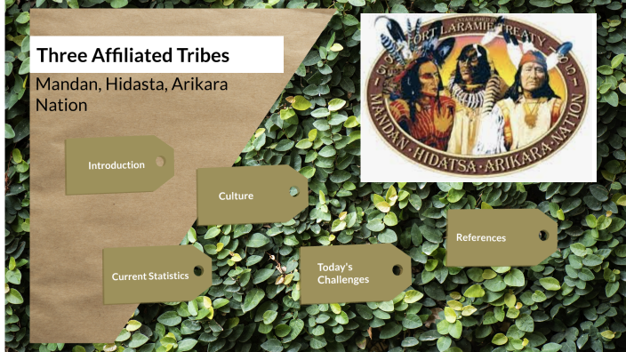 Three Affiliated Tribes by Anna Goffe on Prezi