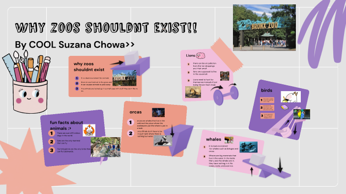 should zoos exist by Suzana Chowa