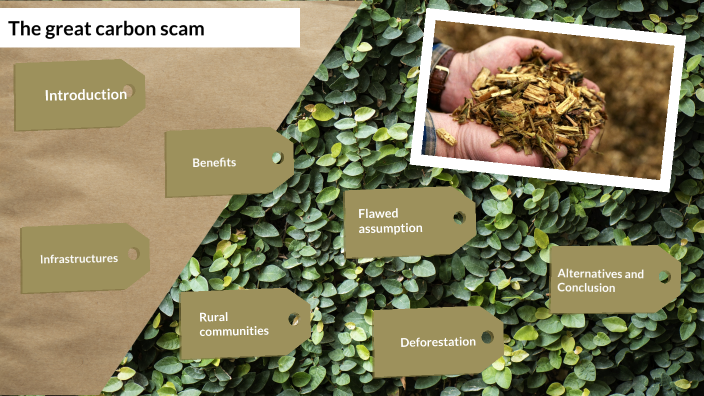 the great carbon scam by Massil Miloudi on Prezi