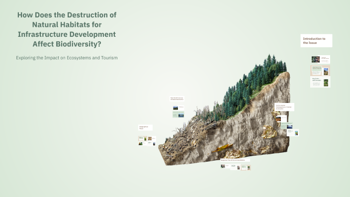 How Does the Destruction of Natural Habitats for Infrastructure ...