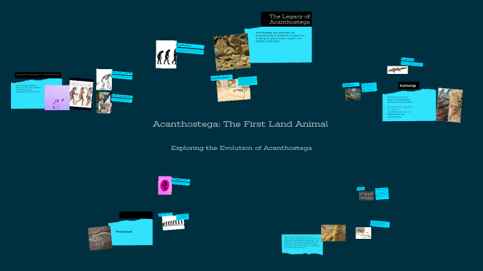 Acanthostega: The First Land Animal by Kajsa Rydsten on Prezi