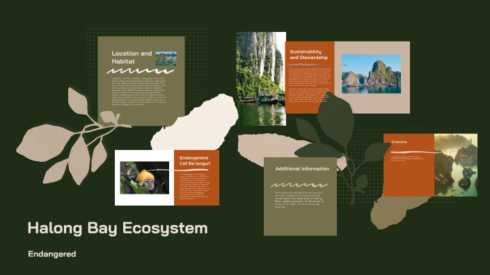 Halong Bay Ecosystem by Brynn Webster on Prezi