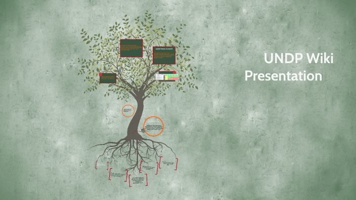 UNDP Wiki Presentation by Bobby Shabangu on Prezi