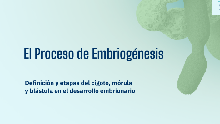 El Proceso de Embriogénesis by grace pajuelo yepez on Prezi