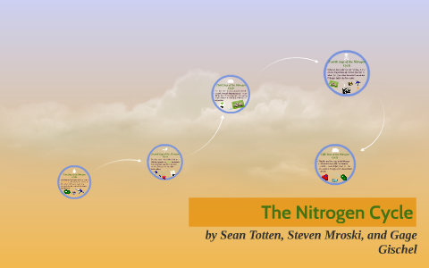 The Nitrogen Cycle by Sean Totten on Prezi