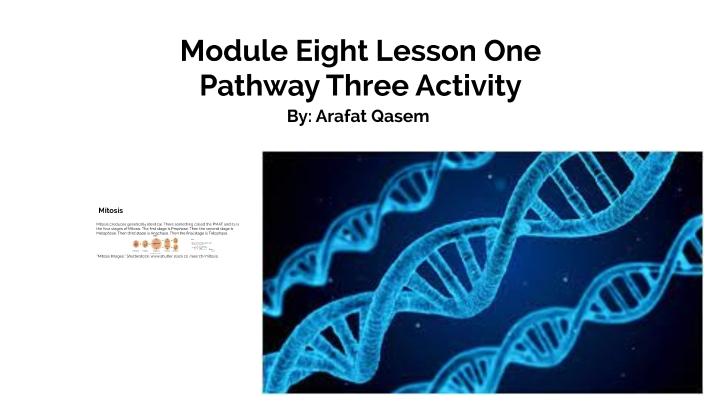 Module Eight Lesson One Pathway Three Activity by arafat qasem on Prezi