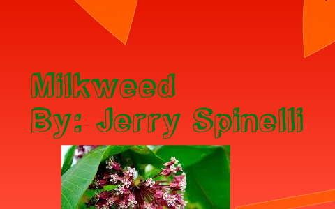 Milkweed By: Jerry Spinelli by J Lowrance on Prezi