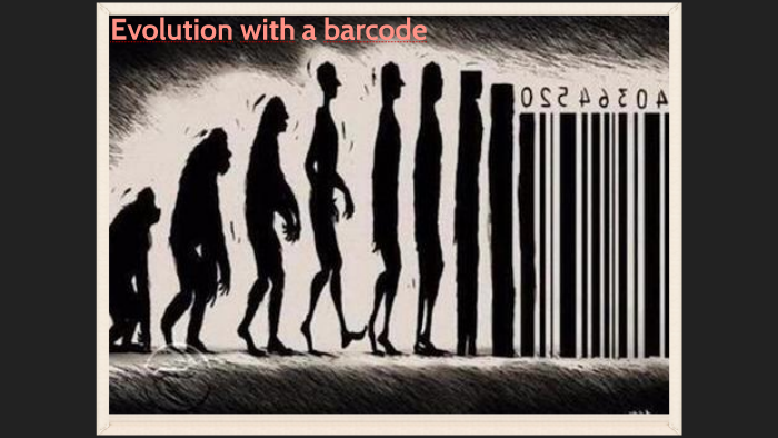 Evolution with a barcode by Stephanie Gauvin on Prezi