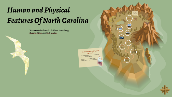 Human and Physical Features Of North Carolina by Anukkah Burleson on Prezi