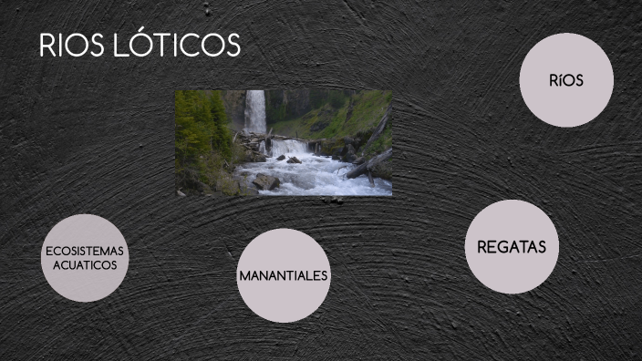 RIOS LOTICOS by Josune Lezaun Salanueva on Prezi