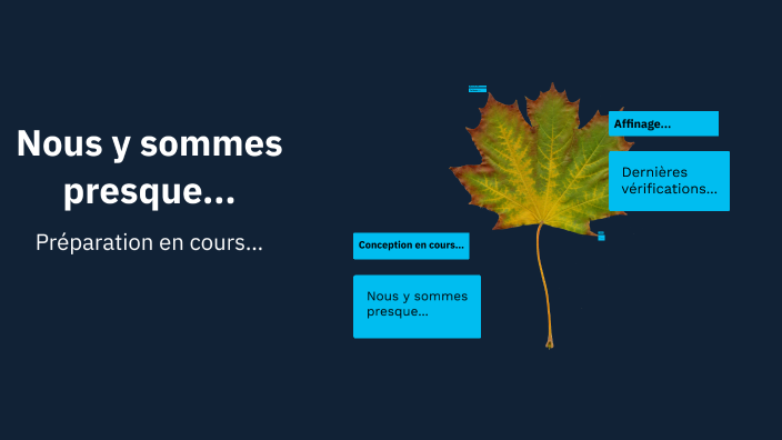 Conditions de vie au Canada by Saja Mostafa on Prezi