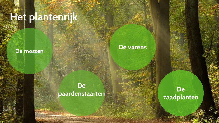 Het plantenrijk by Lauren Van Herck on Prezi