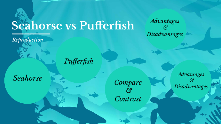 Starfish & Pufferfish reproduction by reet Sran on Prezi