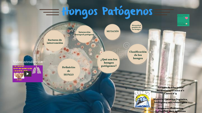 Hongos Patógenos by Katherine Podjorney on Prezi