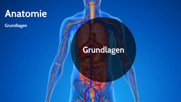Anatomie by Theresa Heinzelmann on Prezi
