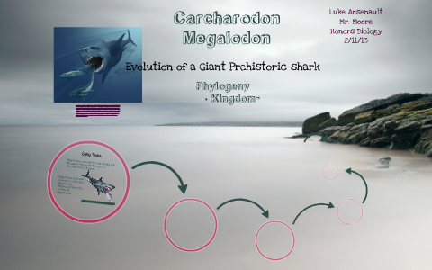 Megalodon by luke arsenault on Prezi