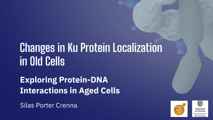 Understanding Ku Localization Changes by Silas Porter Crenna on Prezi