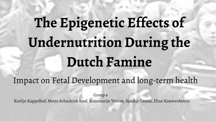 The Epigenetic Effects of Undernutrition During the Dutch Famine by ...