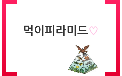 먹 이 피 라 미 드 by Lim juhee on Prezi