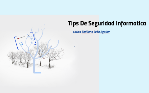Tips De Seguridad Informatica By Carlos Emiliano On Prezi