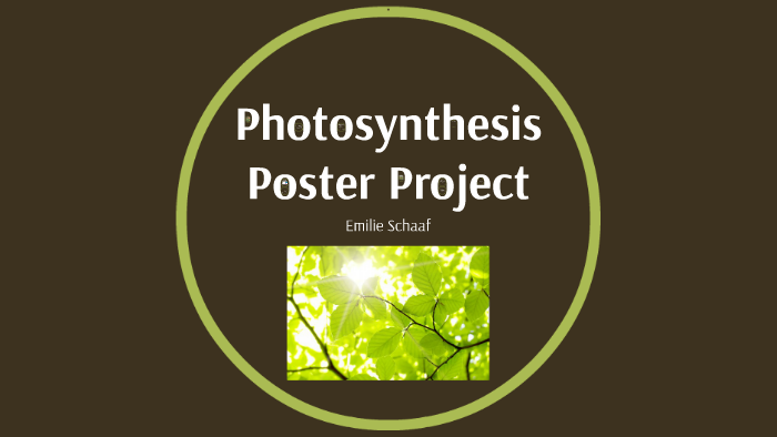 Photosynthesis Poster Project by Emilie Schaaf