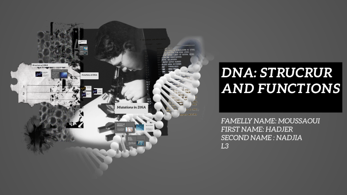 DNA: The Basics by Moussaoui Hadjer on Prezi