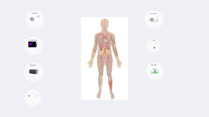 Biologi strålings by Nicolai zhu on Prezi
