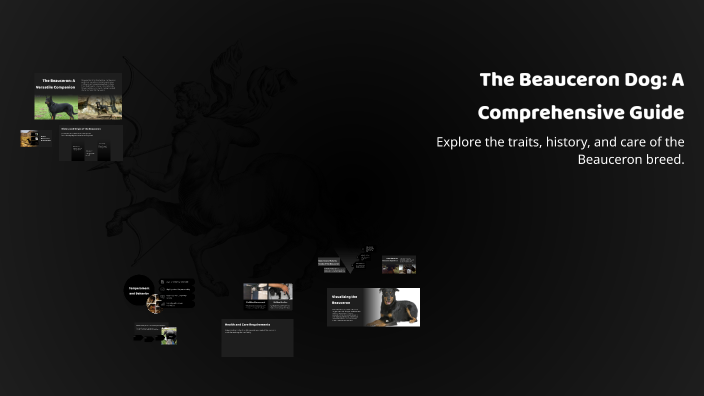 The Beauceron Dog: A Comprehensive Guide by Eli Coert on Prezi