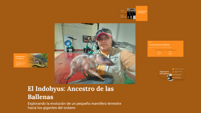 El Indohyus: Ancestro de las Ballenas by Heydi Robles González on Prezi