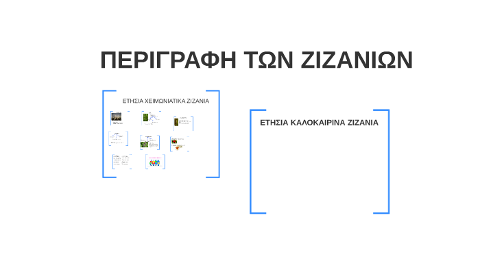 ΠΕΡΙΓΡΑΦΗ ΤΩΝ ΖΙΖΑΝΙΩΝ by Β. ΔΕΣΠΟΙΝΑ on Prezi