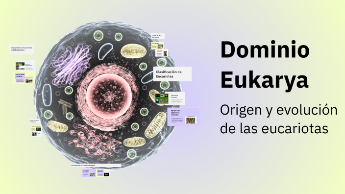 Dominio Eukarya by eduardo arreola jiménez on Prezi