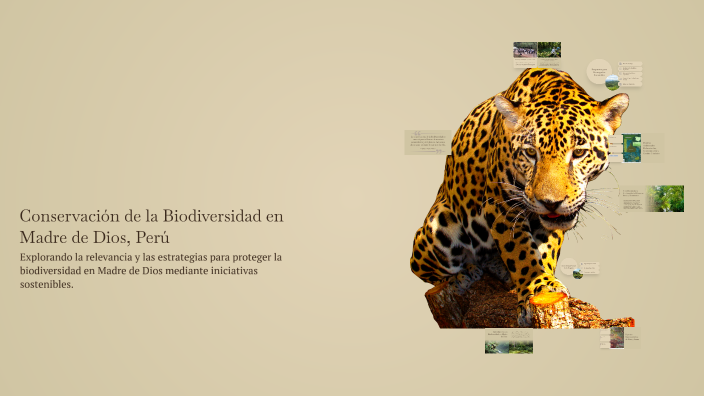 Conservación de la Biodiversidad en Madre de Dios, Perú by LENIN JUNIOR ...