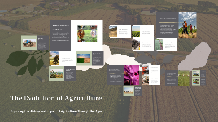 The Evolution of Agriculture by pearll crystall on Prezi