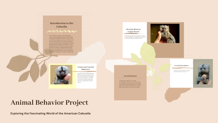 Animal Behavior Project by Kayla Petway on Prezi