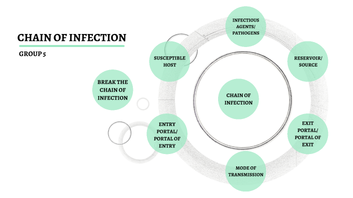 Chain of Infection by Zelia Wage on Prezi