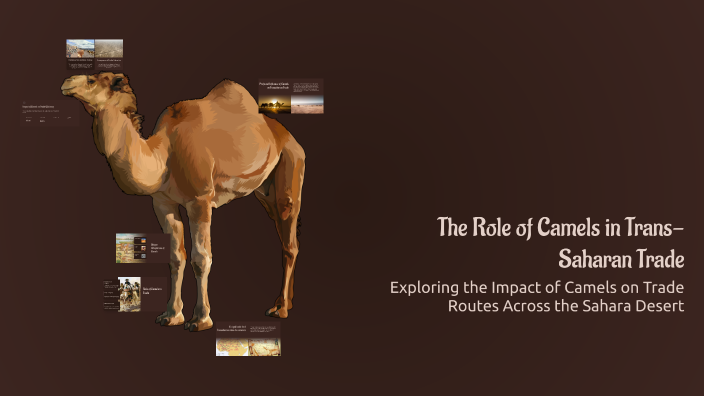 The Role of Camels in Trans-Saharan Trade by abigail ficorilli on Prezi