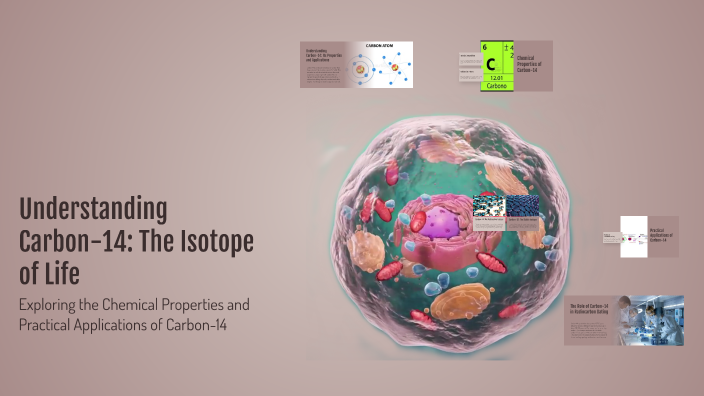 Understanding Carbon-14: The Isotope of Life by Kinsley Crippin on Prezi