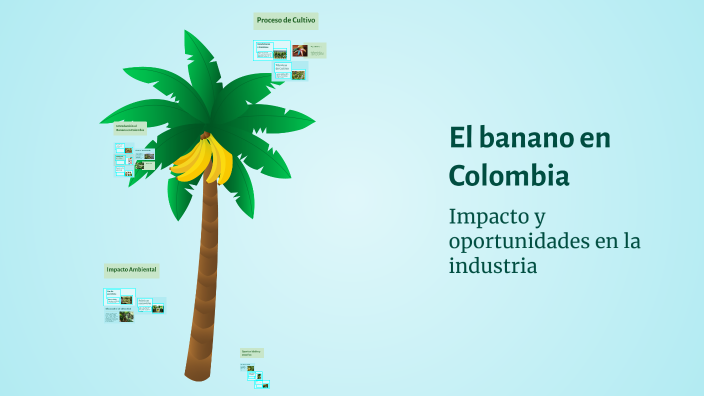 El banano en Colombia by daniel sierra on Prezi