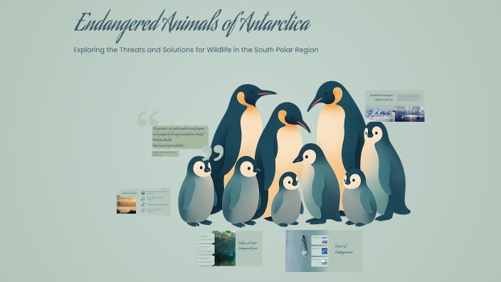 Endangered Animals of Antarctica by Jannat mahmoud on Prezi
